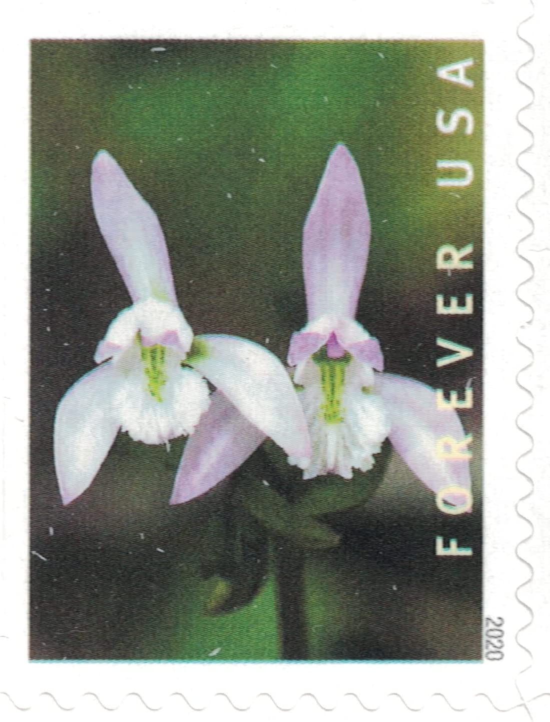 2020 Wild Orchids Forever Postage Stamps